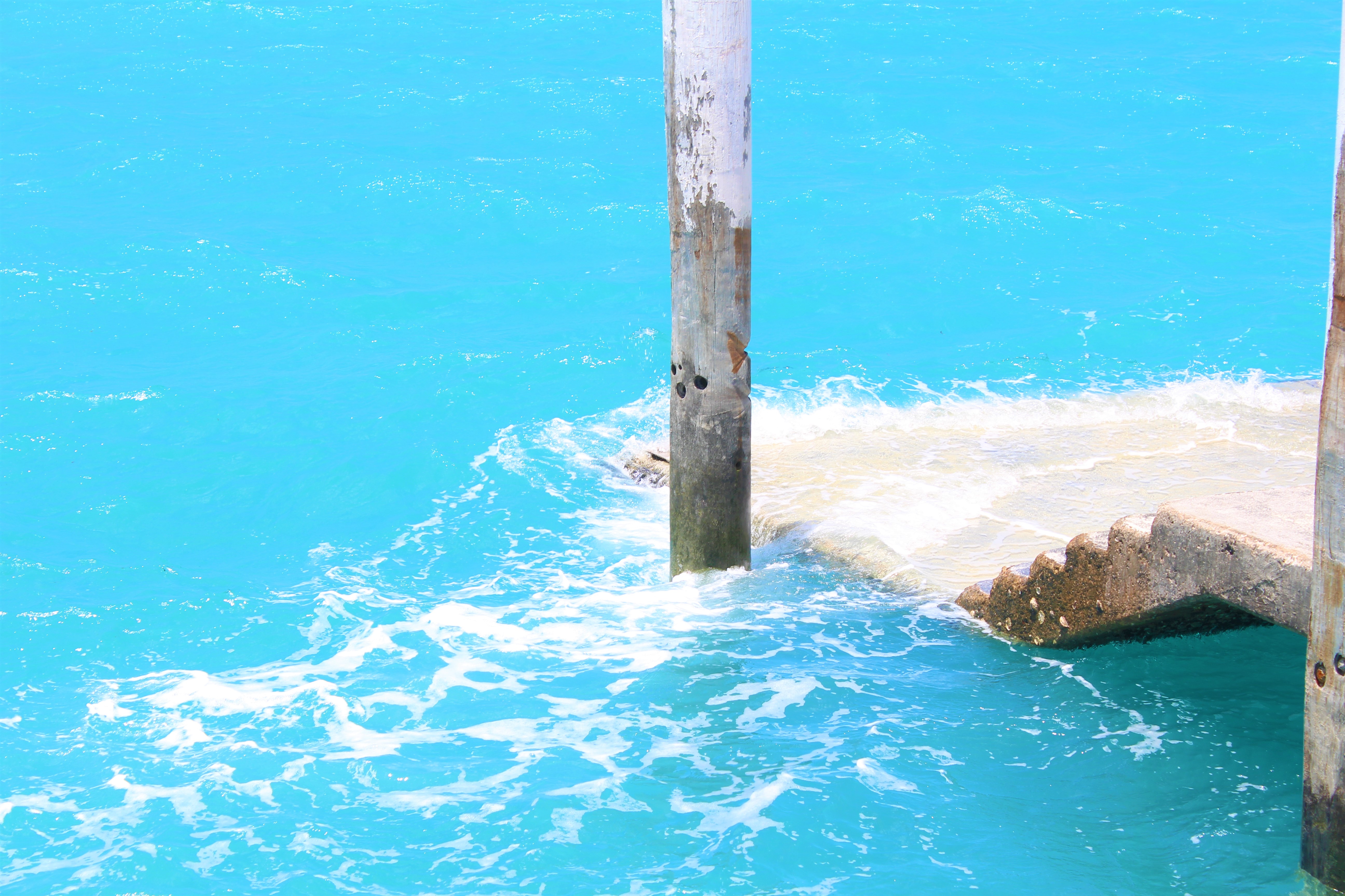 PAKAM – PAKAM aims to develop culturally relevant media production and ...